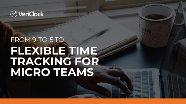 App and Login – VeriClock